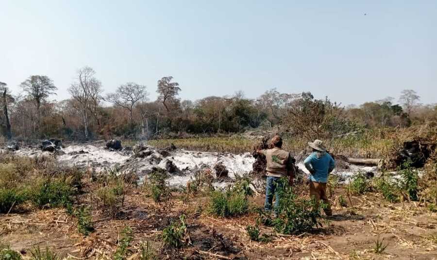 Abt Activa 27 Procesos Penales Por Quemas E Incendios Forestales En 8197