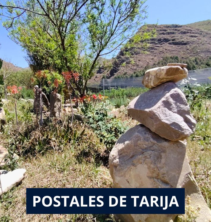 POSTALES DE TARIJA | La Voz de Tarija