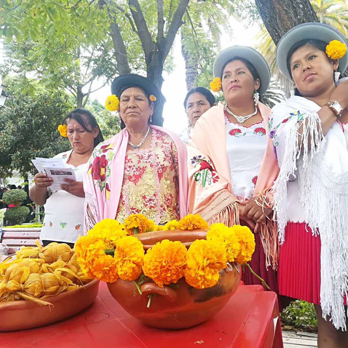 Invitan a la población de Tarija a participar en la Fiesta del Rodeo ...