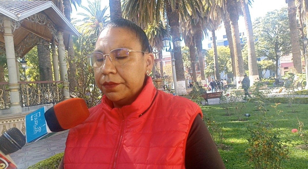 Asambleísta denuncia crisis en la Asamblea de Tarija y exige reducir ...