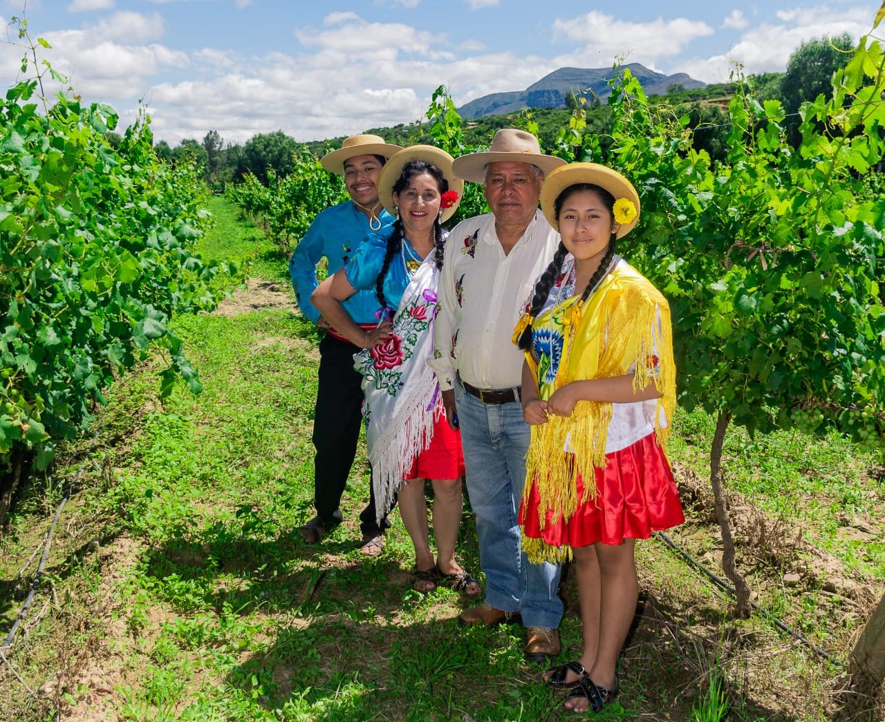 “La Tradición”: el singani que nace del alma tarijeña y una finca donde ...