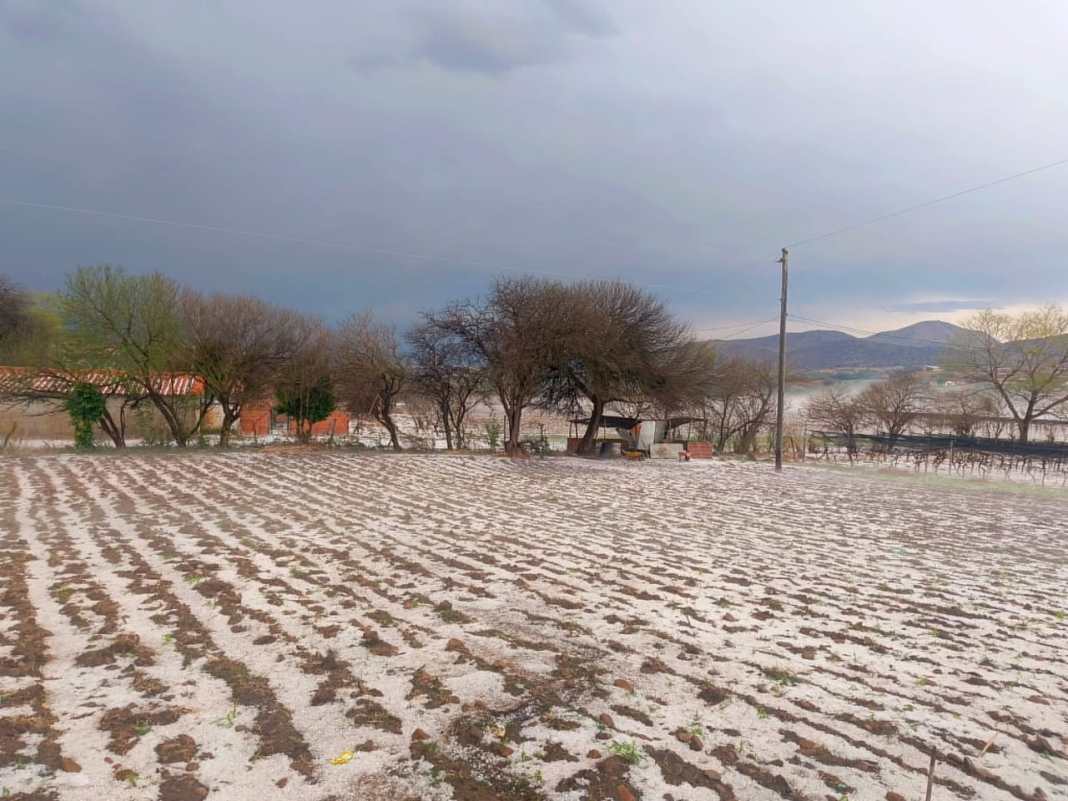 Granizada de gran magnitud afecta de manera significativa la producción ...