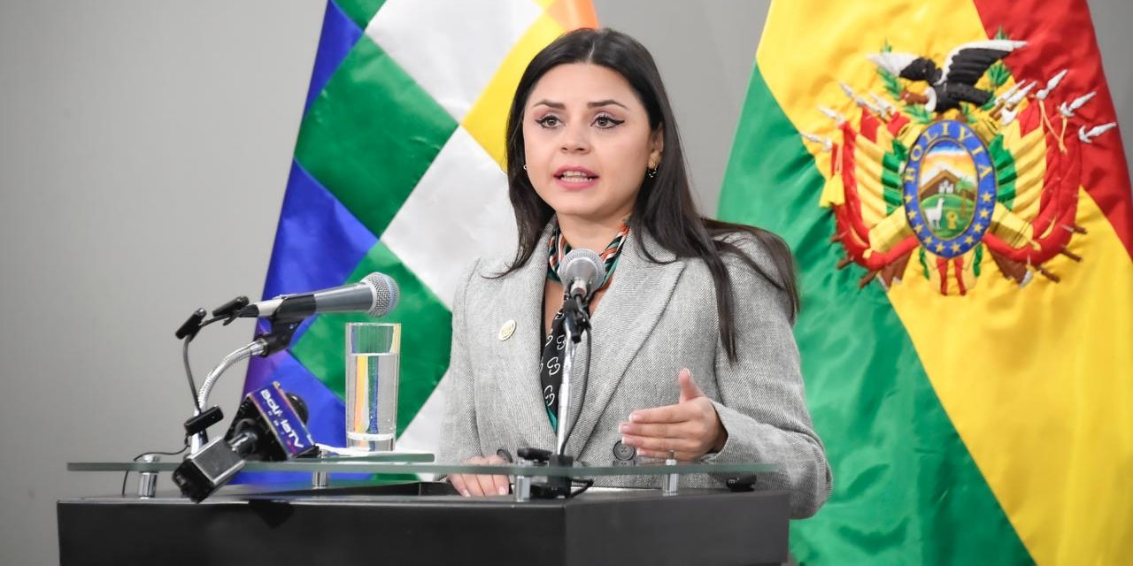 Carla Faval: Gobierno presentará hoy nuevo paquete de decretos y ...