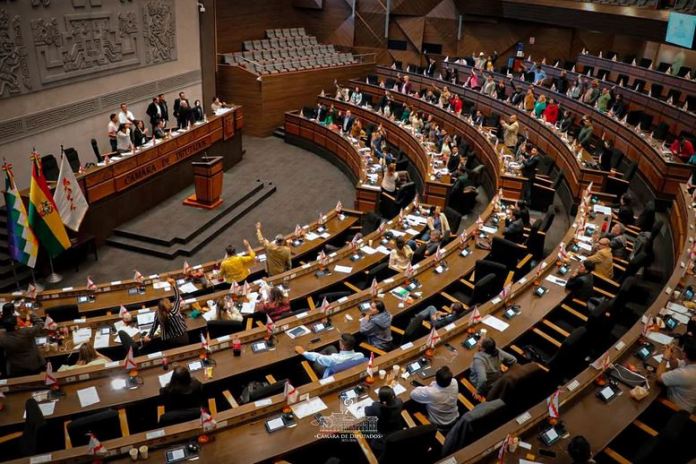 Cámara de Diputados aprueba en grande el proyecto de ley que regula los ...